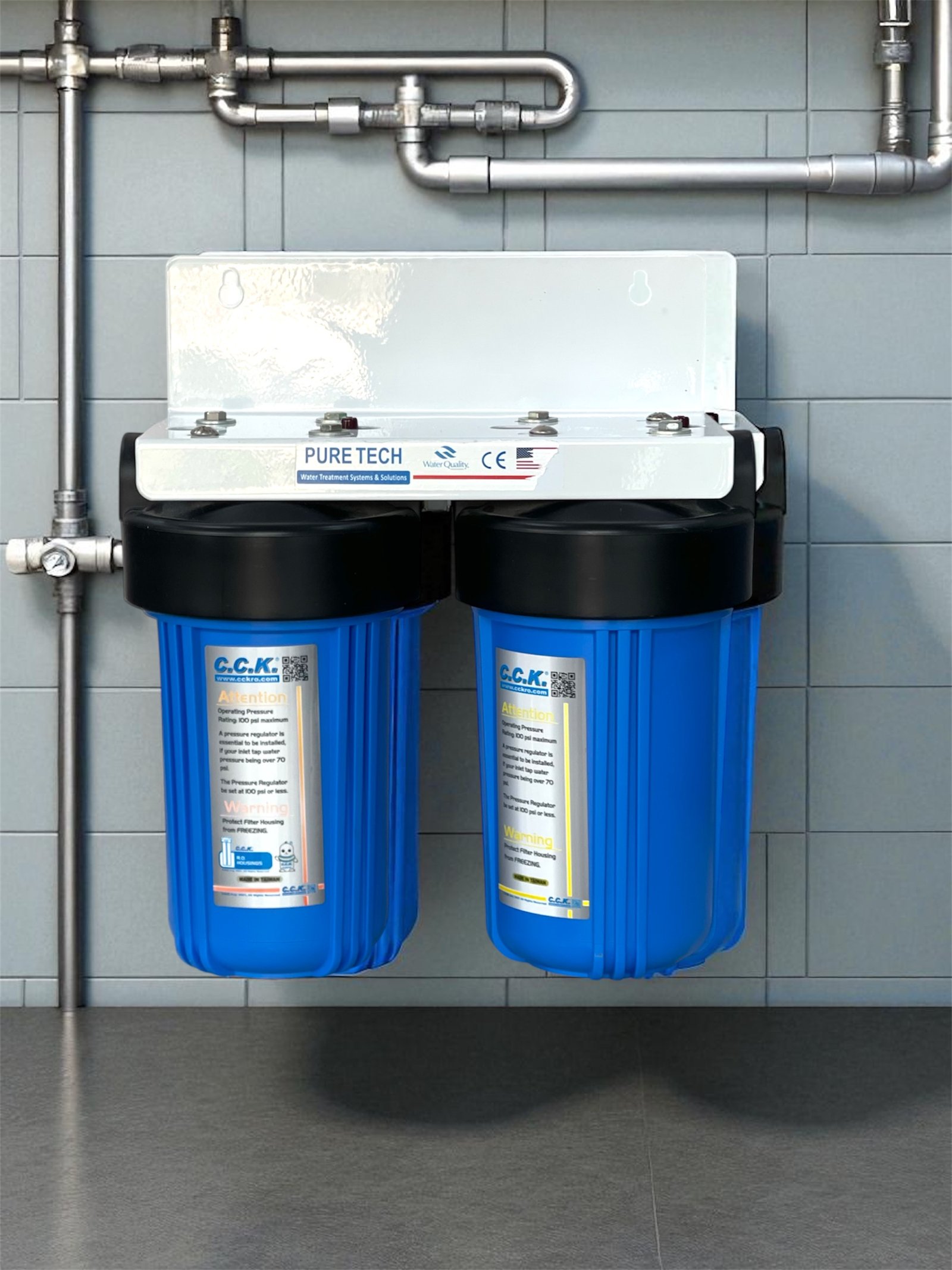 💧 Central Water Filter – Dual-Stage – Initial Protection & Purification ...